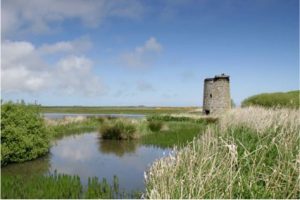Things To Do – Wildflower Eco Lodges